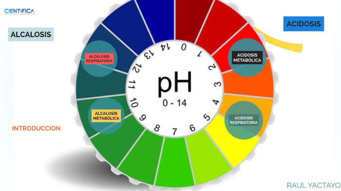 ACIDOSIS Y ALCALOSIS by raul yactayo on Prezi