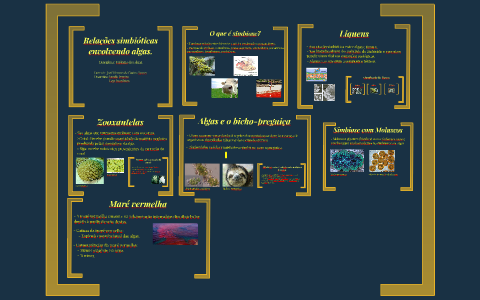 Relações simbióticas envolvendo algas. by Danilo Pereira Pinto on Prezi