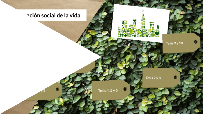 Las 3 S de la determinación de la vida by Mili Cepeda on Prezi