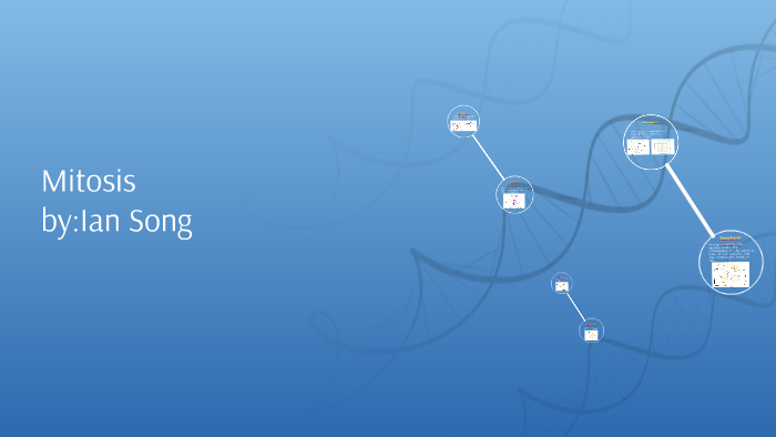 Mitosis by Ian Song on Prezi