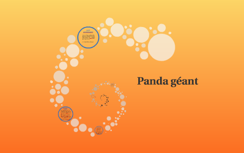 panda géant by mackenzie fournier on Prezi