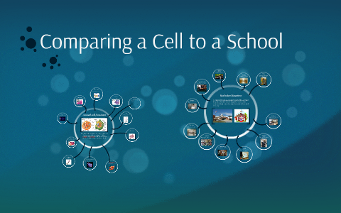 Comparing a Cell to a School by Teri Senika on Prezi