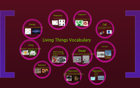 Living Things Vocabulary by sarah rotar on Prezi