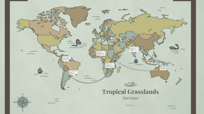 Tropical Grasslands by Jane Smallman on Prezi