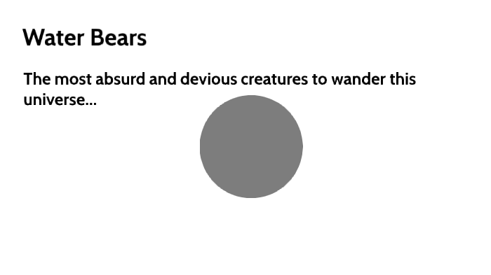 waterbears the devious creatures by Reese Barry on Prezi