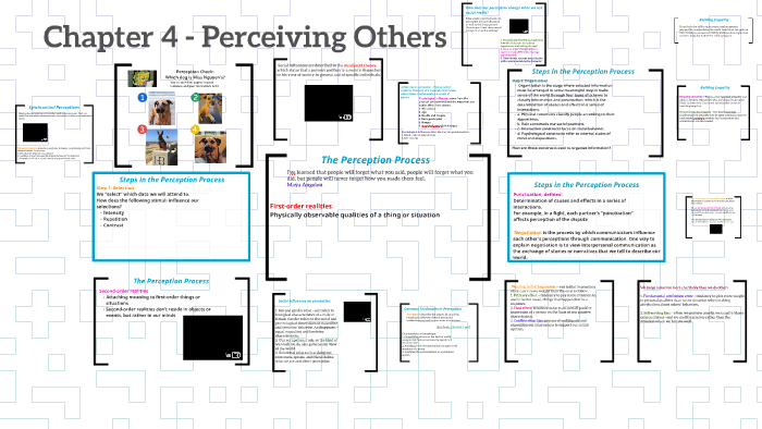 Chapter 4 - Perception Process by Ava Nguyen on Prezi