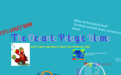 The Oceanic Pelagic Biome by Lauren Gregory