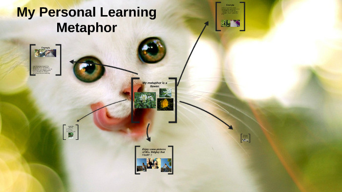 My Personal Learning Metaphor by Chloe Bennett on Prezi