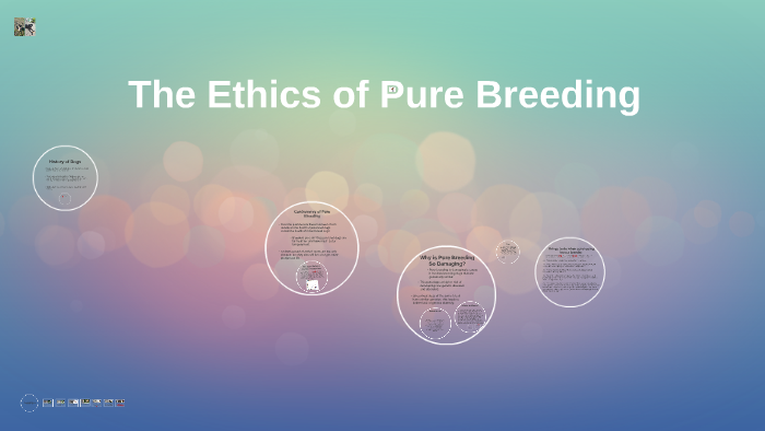 The Ethics of Pure Breeding by Chris Biela on Prezi