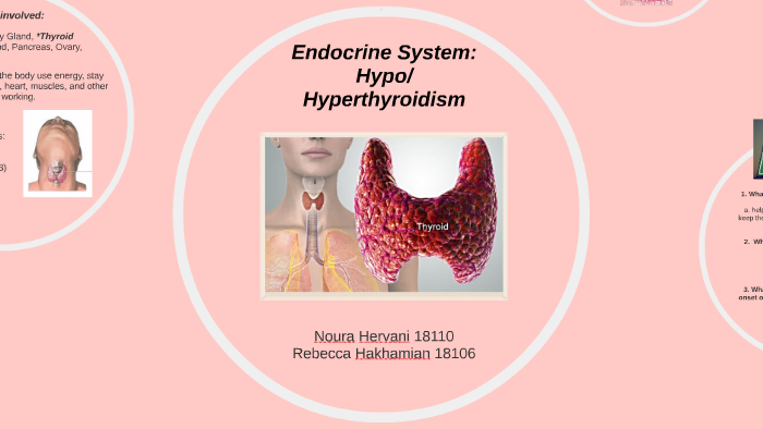 Endocrine System- Hypo/Hyperthyroidism by Rebecca Hak on Prezi