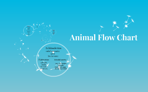 Flow chart Plants and Animal by Mary Stevens