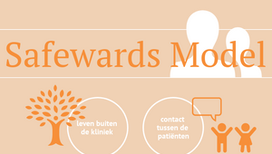 Safewards model by justine coulleit on Prezi Design