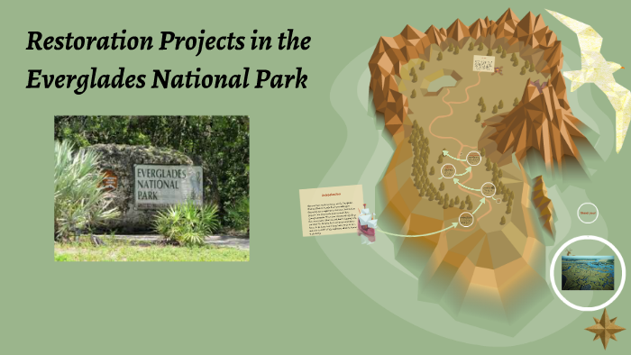 Humans have made an impact on the Everglades National Park i by Morgan ...