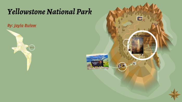 Yellowstone National Park by Jayla Bulow on Prezi