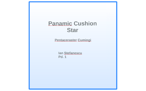 Panamic Cushion Star by Ian Stefanescu on Prezi