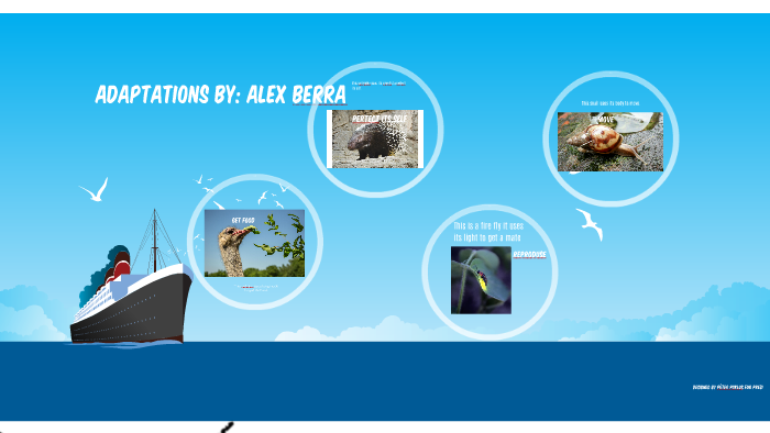 adaptations by: ALEX berra by Lisa Weaver on Prezi