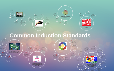 Common Induction Standards by Amie Caterer