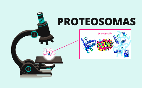PROTEOSOMAS by Andrés Mauricio Medina on Prezi