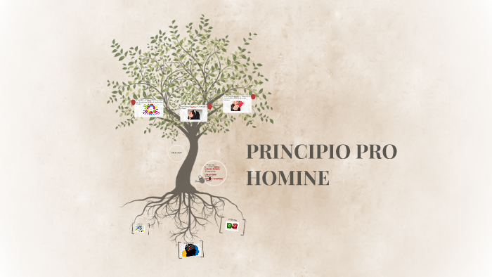 PRINCIPIO PRO HOMINE by Dani Lizarazu on Prezi