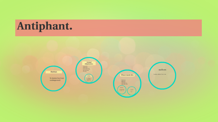 Antphant by Caleb Deng on Prezi