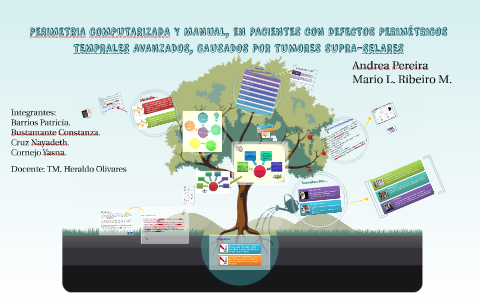 PERIMETRIA COMPUTARIZADA Y MANUAL, EN PACIENTES CON DEFECTOS by daniela ...