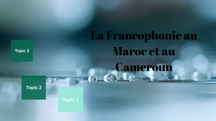 La Francophonie au Maroc et au Cameroun by SARA NAINI on Prezi
