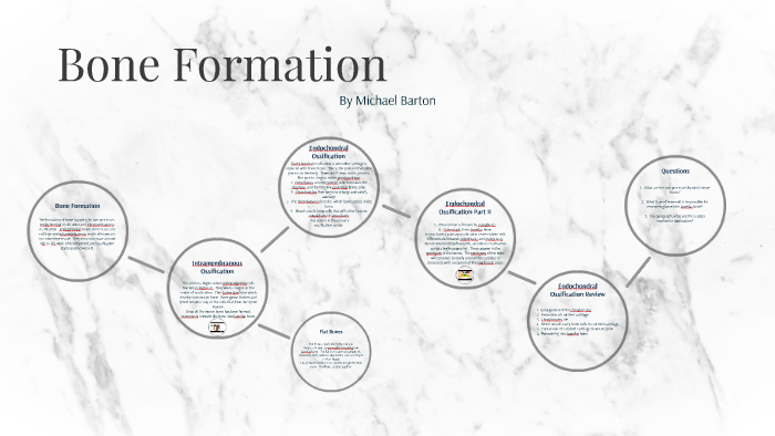 Bone Formation by Mike B on Prezi