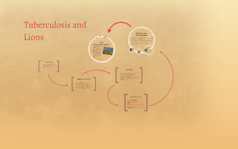 Tuberculosis in Lions by L M on Prezi