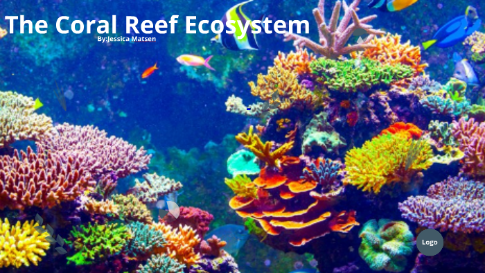 The Coral Reef Ecosystem by jessica matsen