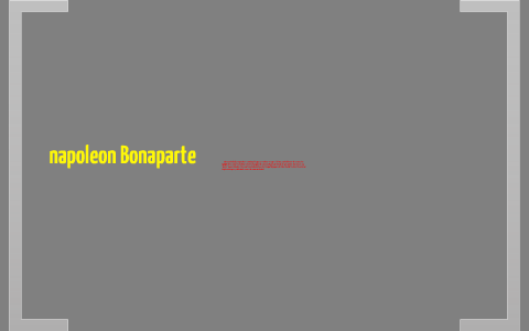 napoleon bonaparte by john janak