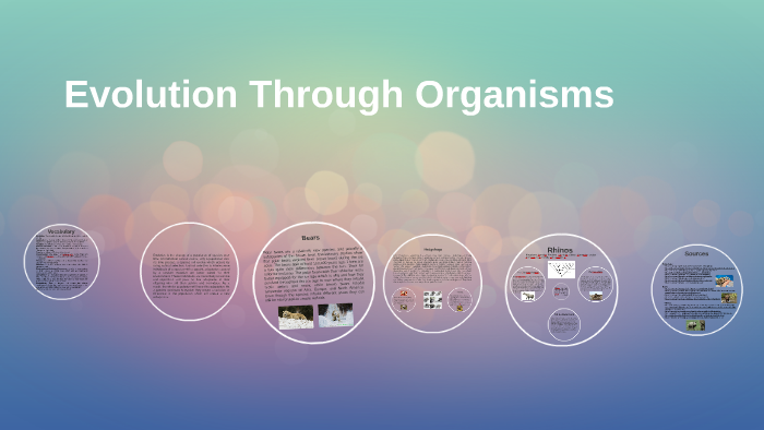 Evolution Through Organisms by Kaitlyn C.