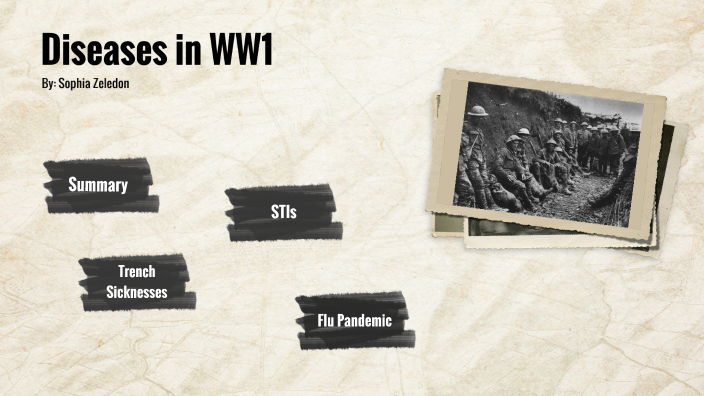 Diseases in WW1 by Sophia Zeledon on Prezi