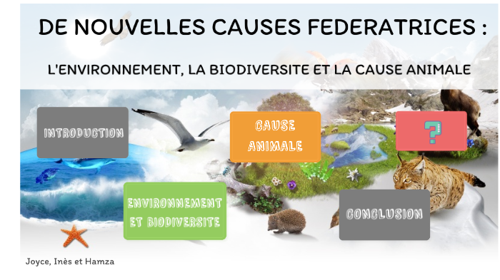 EMC DIAPORAMA by Léclemza DUROLNI on Prezi