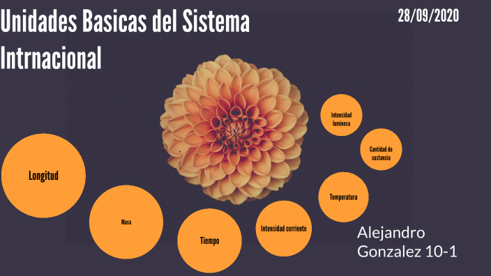 Unidades básicas del sistema internacional by LUIS ALEJANDRO GONZALEZ ...