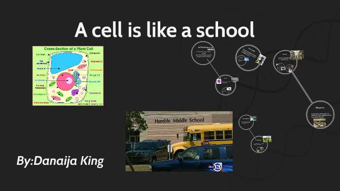A cell is like a school by Danaija King