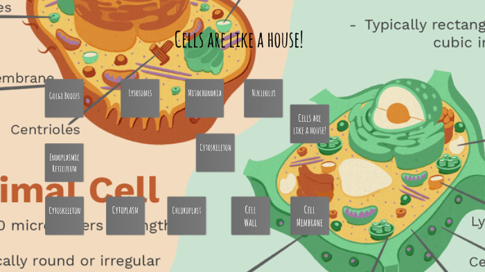 Cell house :) by seth blood on Prezi