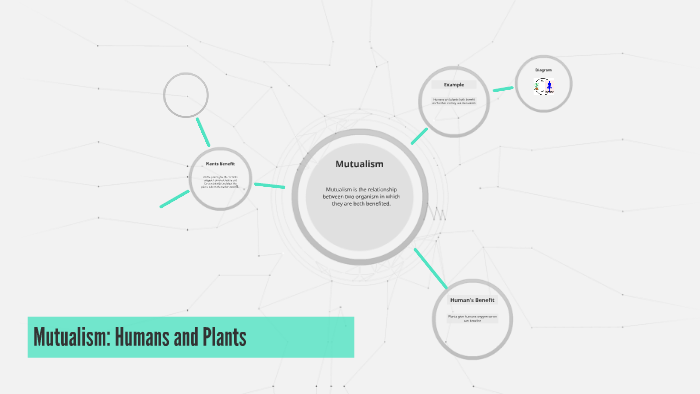 Mutualism: Humans and Plants by tess bruno on Prezi