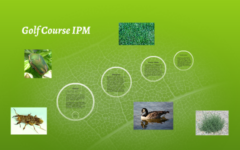 Golf Course IPM by Samantha Stein on Prezi