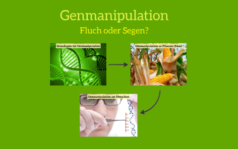 Genmanipulation by Antonia Hinze on Prezi
