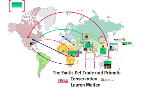 The Exotic Pet Trade by Lauren Molten on Prezi