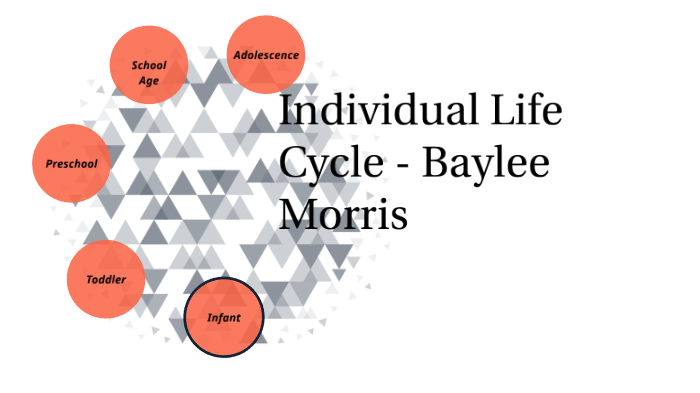 Individual Life Cycle by Baylee Morris on Prezi