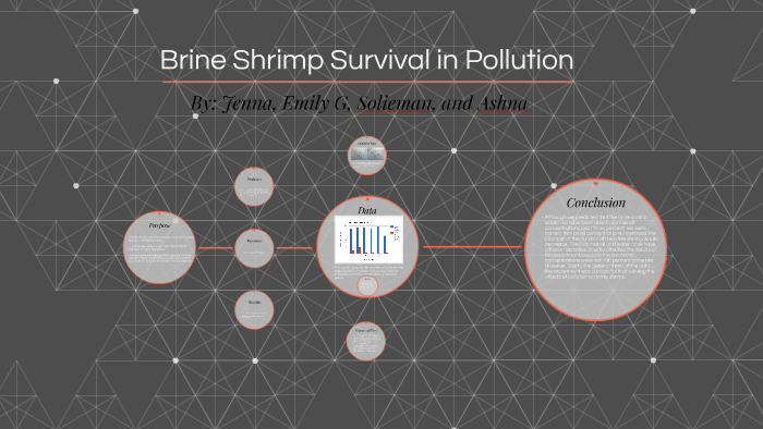 Brine Shrimp Survival in Pollution by emily guerin on Prezi