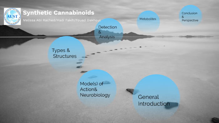 Synthetic Cannabinoids by Hadi Fakih on Prezi
