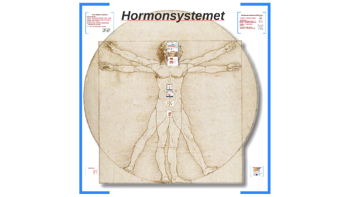 Hormonsystemet by Håvard Steffenak on Prezi