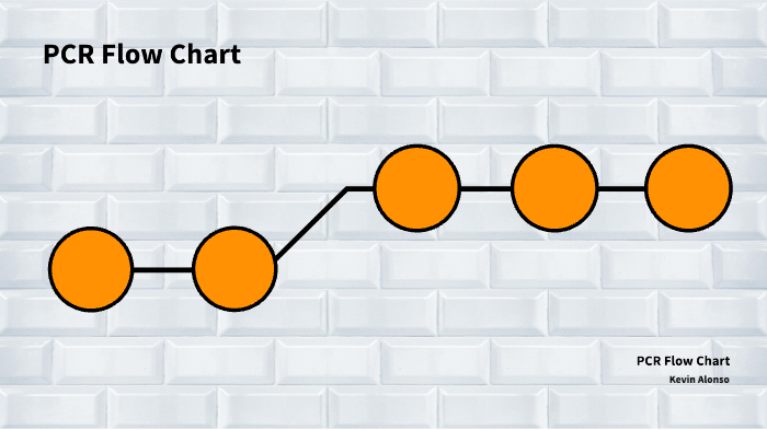 PCR Flow Chart by Kevin Alonso on Prezi