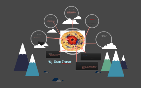 Animal/Plant Cell by Sean Ceasar on Prezi