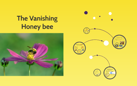 The Vanishing Honey Bee by Brandon Dake on Prezi