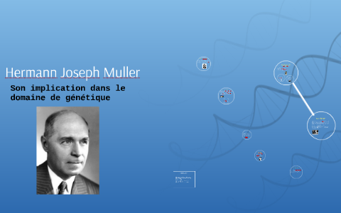 Hermann Joseph Muller by Nicolas Roy on Prezi