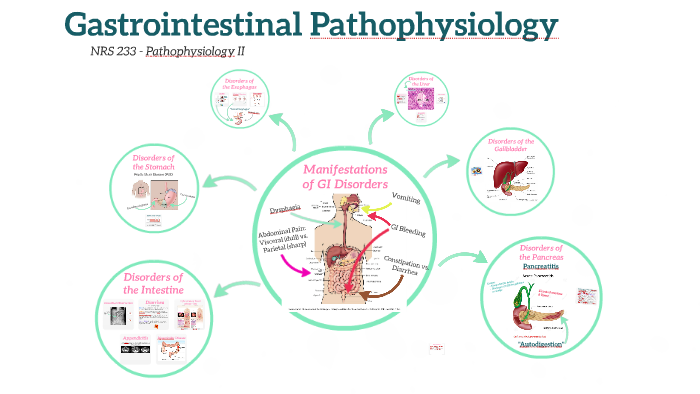 Gastrointestinal Pathophysiology by Katrina Dielman on Prezi