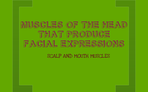 Muscles of the head that produce facial expressions by courtney ...